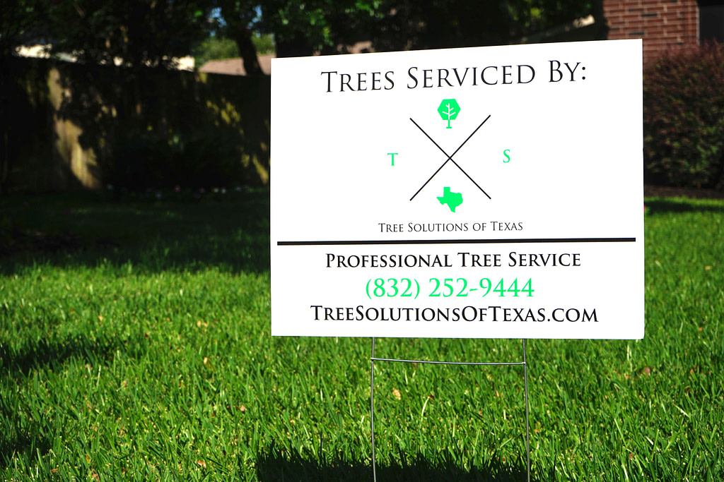 Home - Tree Solutions Of Texas - Professional Tree Service