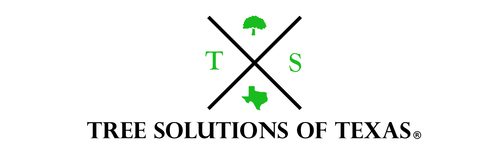 Home - Tree Solutions Of Texas - Professional Tree Service